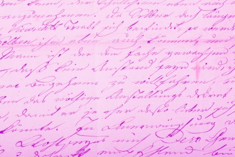 Curriculum - NICOLE CICCOLO